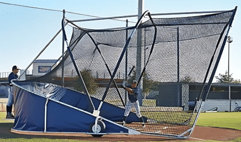 Batting Turtle Safety Tips | Baseball Turtles