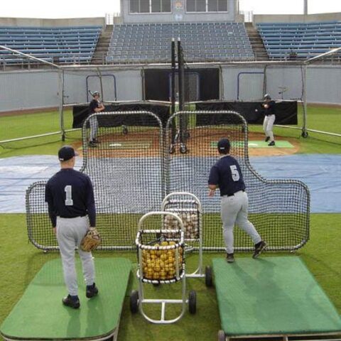 Batting Turtle Safety Tips | Baseball Turtles